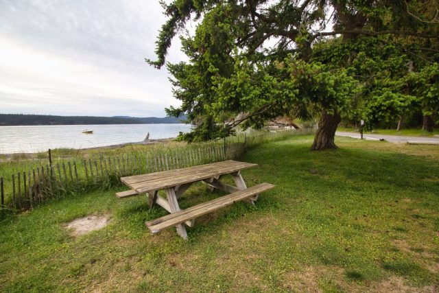 The Ultimate Guide to Camping in the San Juan Islands | Passions and Places